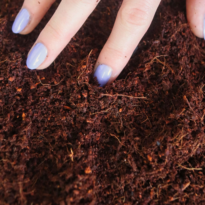 Coco Coir Fiber (Loose) - Plant Substrate Growing Medium