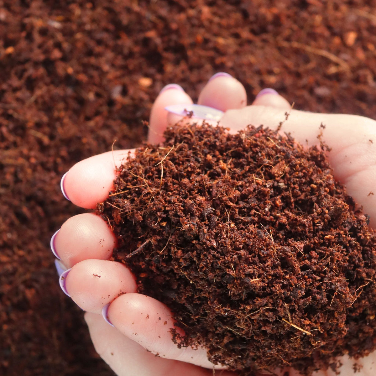 Coco Coir Fiber (Loose) - Plant Substrate Growing Medium