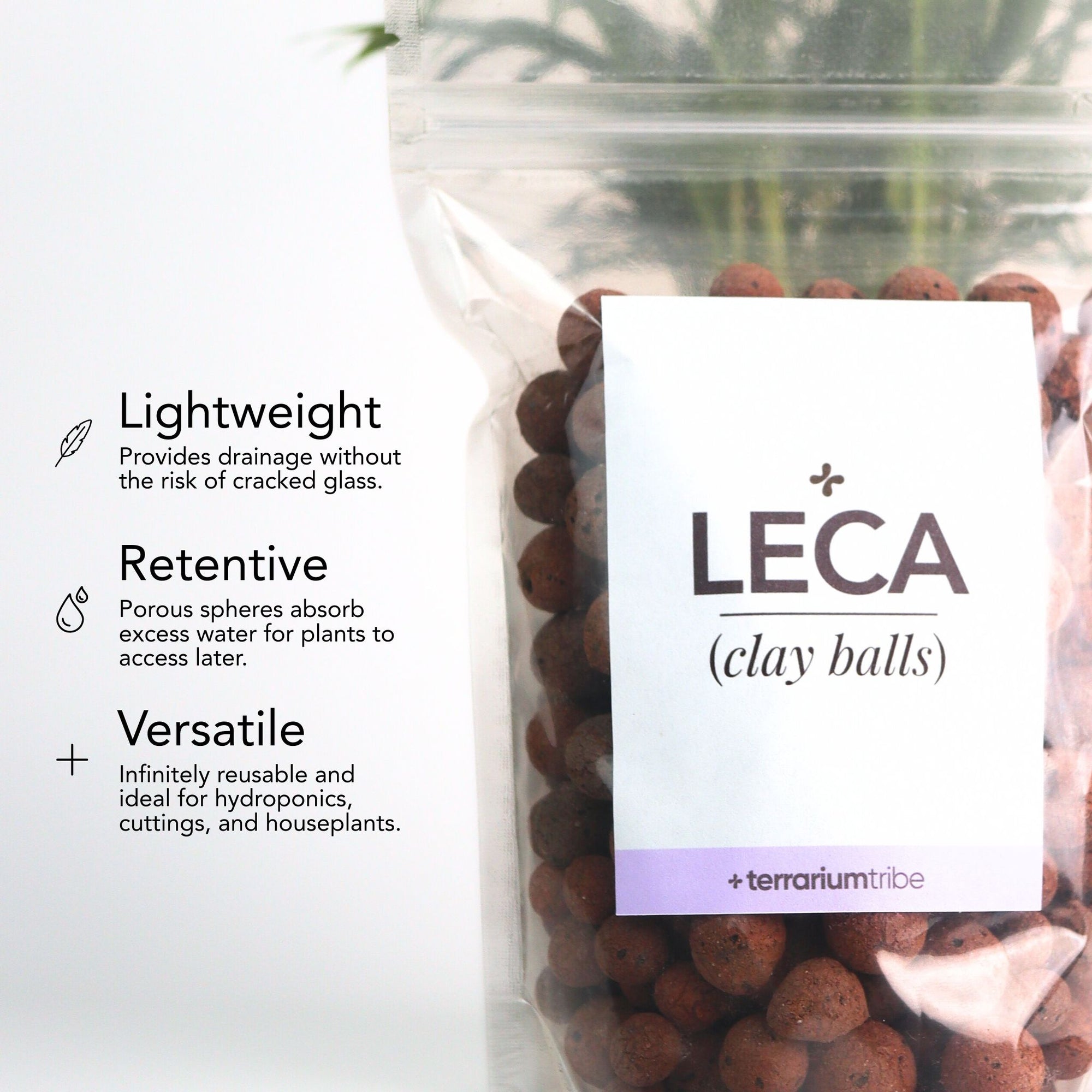 LECA Clay Balls | Lightweight, Versatile Plant & Terrarium Material