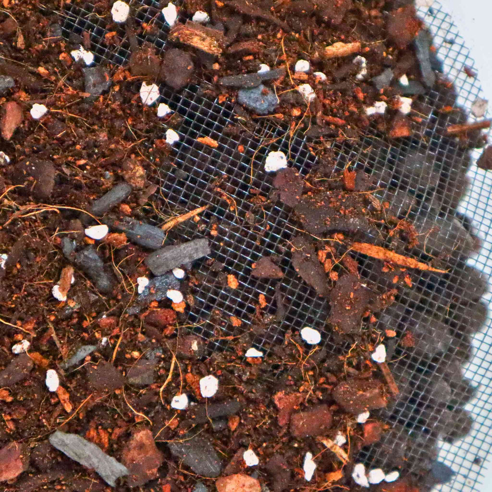 Terrarium Substrate Mesh | Protective Drainage Barrier