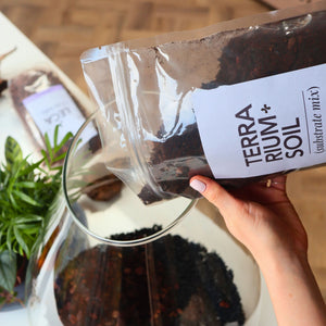 Terrarium Substrate Mix | Ready-to-Use Blend