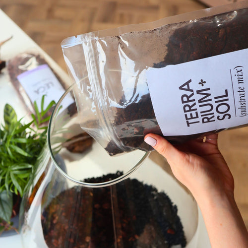 Terrarium Substrate Mix | Ready-to-Use Blend
