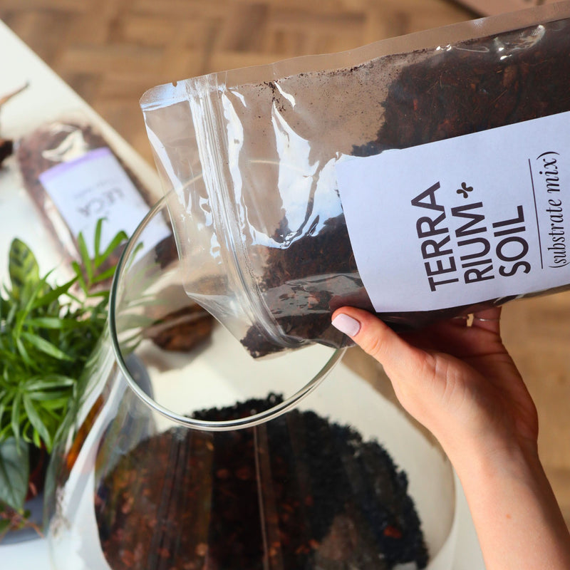 Terrarium Substrate Mix | Ready-to-Use Blend