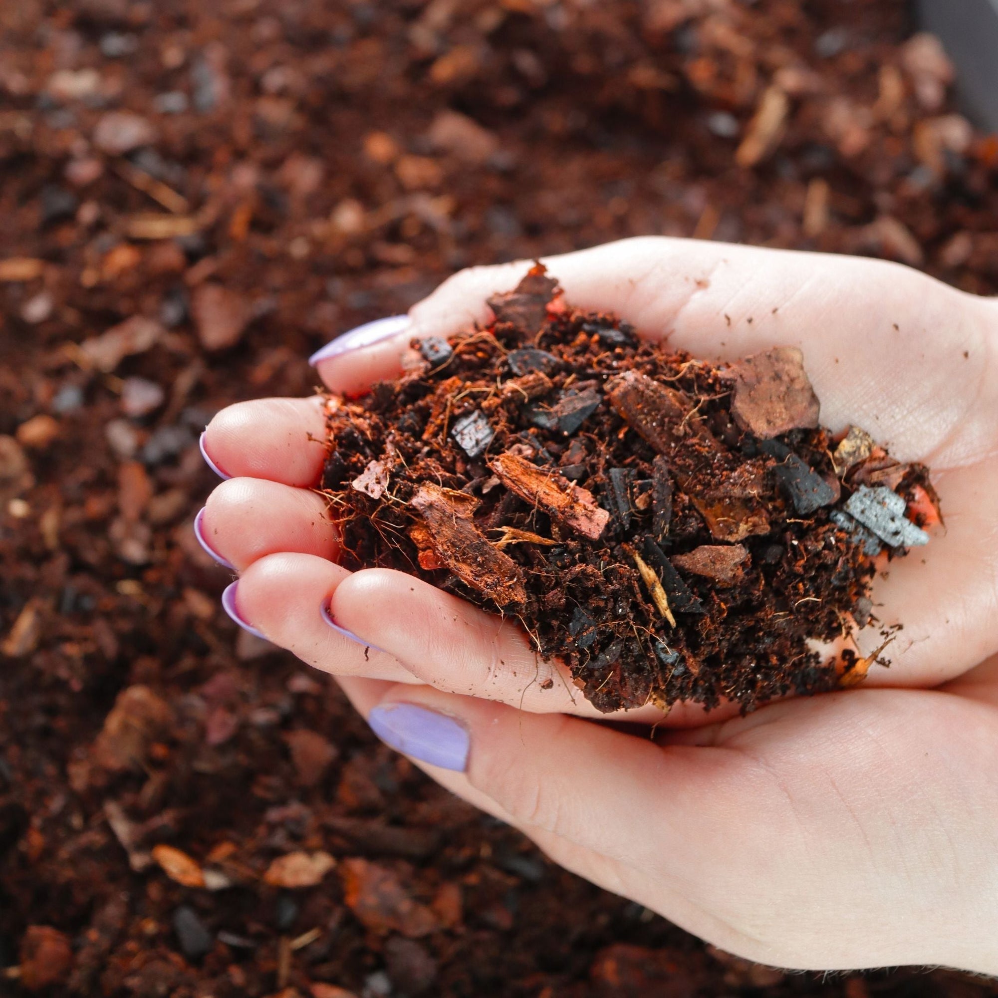 Terrarium Substrate Mix | Ready-to-Use Blend
