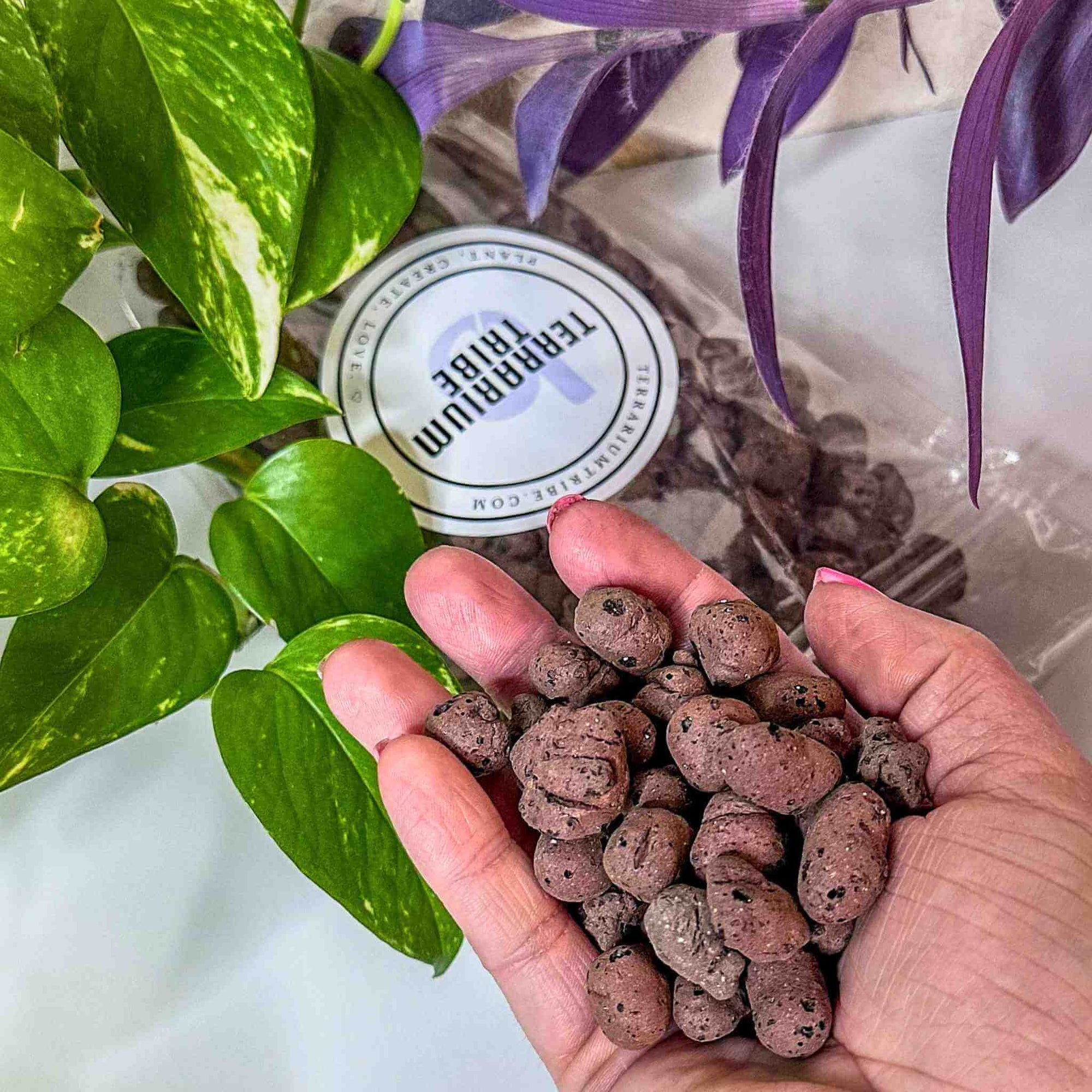 LECA Clay Balls | Lightweight, Versatile Plant & Terrarium Material