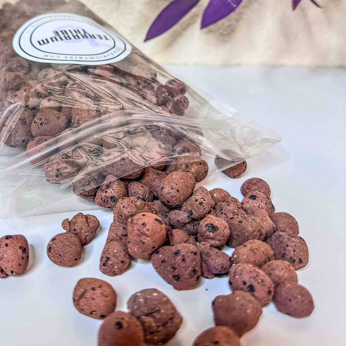 LECA Clay Balls | Lightweight, Versatile Plant & Terrarium Material