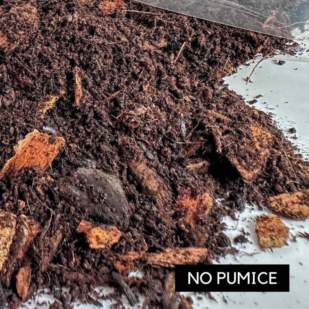 Premium Terrarium Substrate Mix